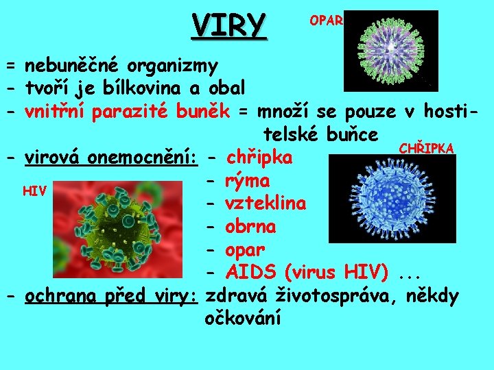 VIRY OPAR nebunn organizmy tvo je blkovina a