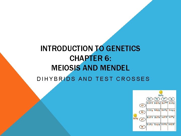 INTRODUCTION TO GENETICS CHAPTER 6 MEIOSIS AND MENDEL