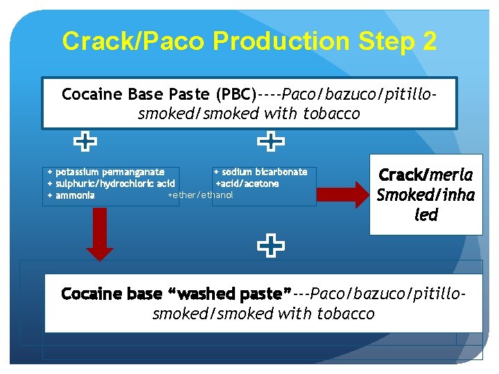 Crack Cocaine and Synthetic Drugs Clinical Psychobiological and