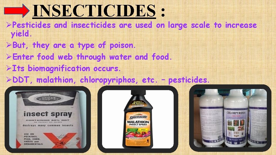 CHAPTER 8 CELL BIOLOGY AND BIOTECHNOLOGY LECTURE 04