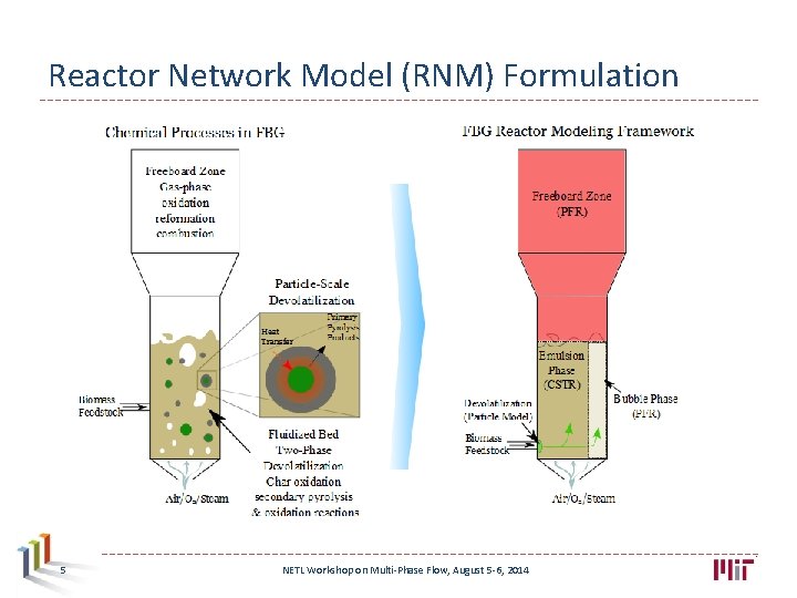 Reduced Network Model Development for Fluidized Biomass Gasification