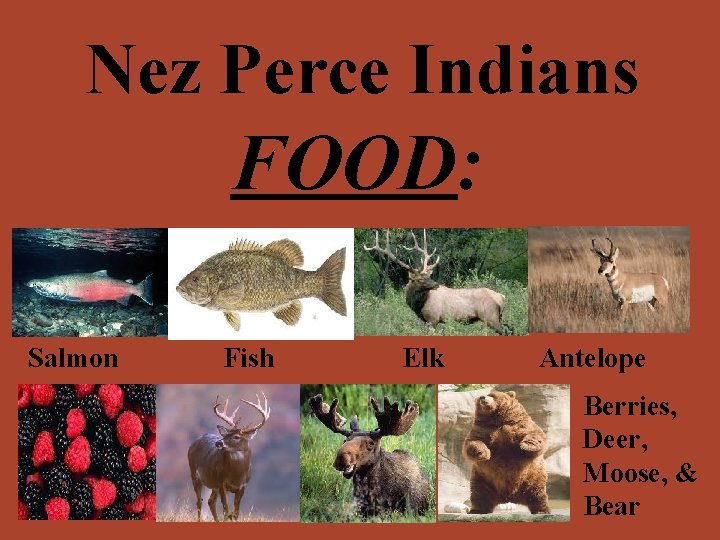 NATIVE AMERICANS BY Lauren Powers Seminole Indians Geographical