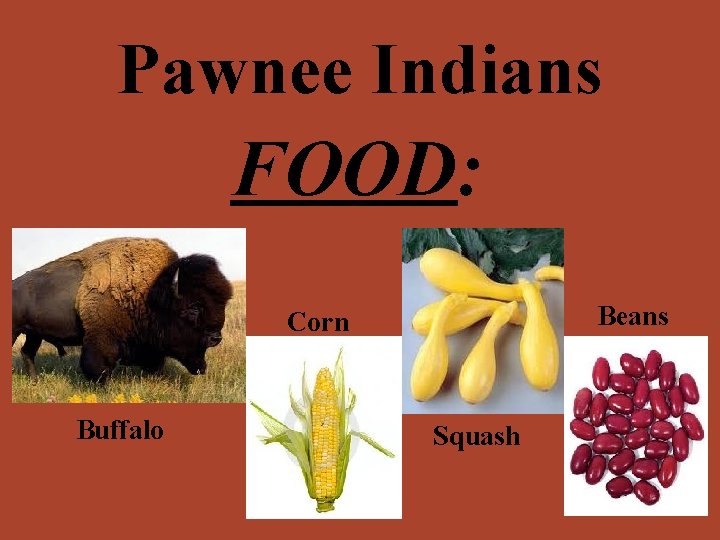 NATIVE AMERICANS BY Lauren Powers Seminole Indians Geographical