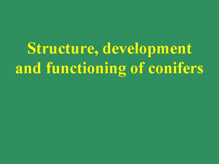 Structure development and functioning of conifers Conifers as