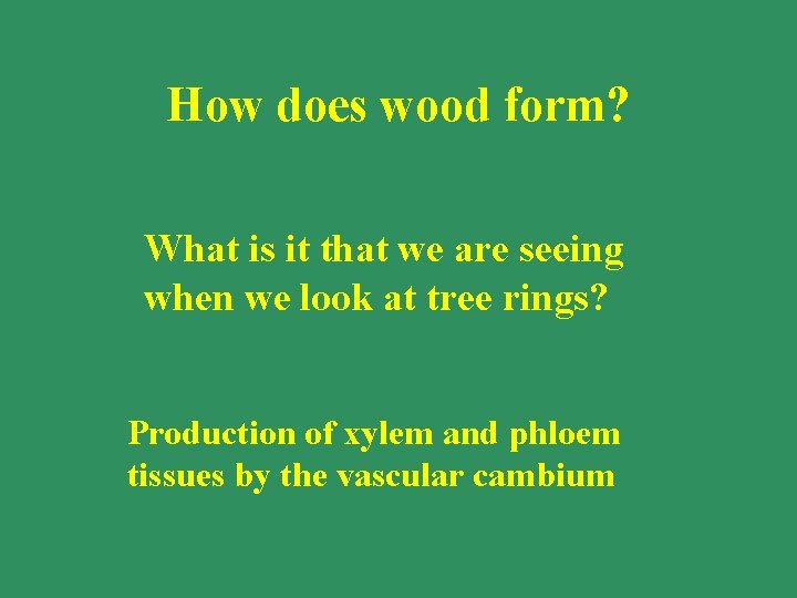 Structure development and functioning of conifers Conifers as