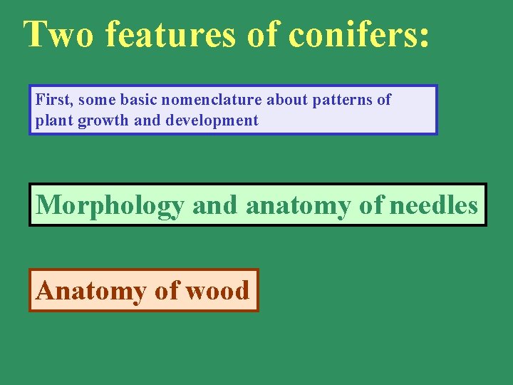 Structure development and functioning of conifers Conifers as