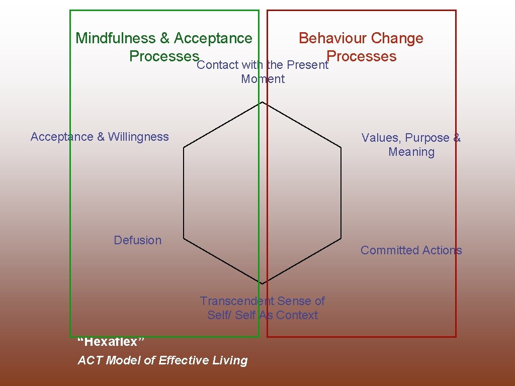 Acceptance and Commitment Therapy Advanced Workshop Julian Mc