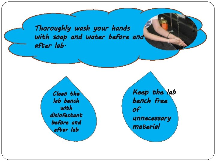 General Microbiology Laboratory Introduction and safety roles Microbiology