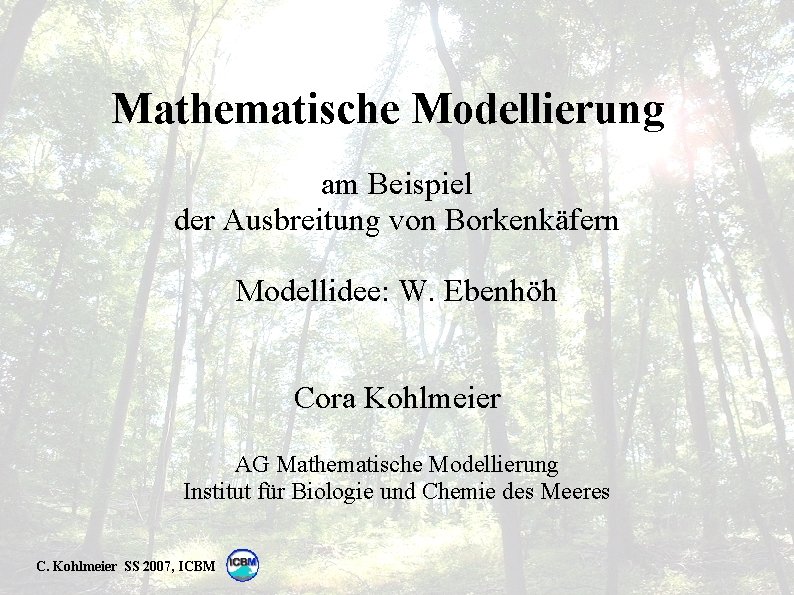 Mathematische Modellierung am Beispiel der Ausbreitung von Borkenkfern