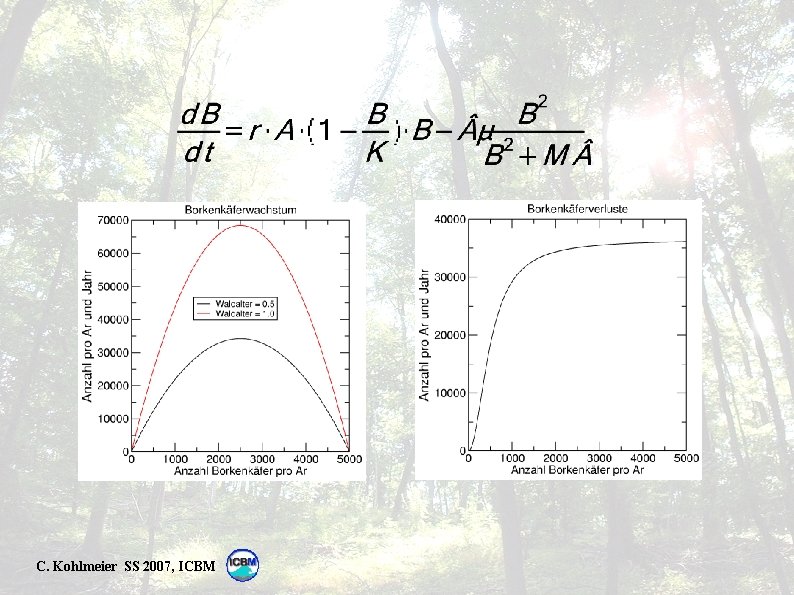 Mathematische Modellierung am Beispiel der Ausbreitung von Borkenkfern