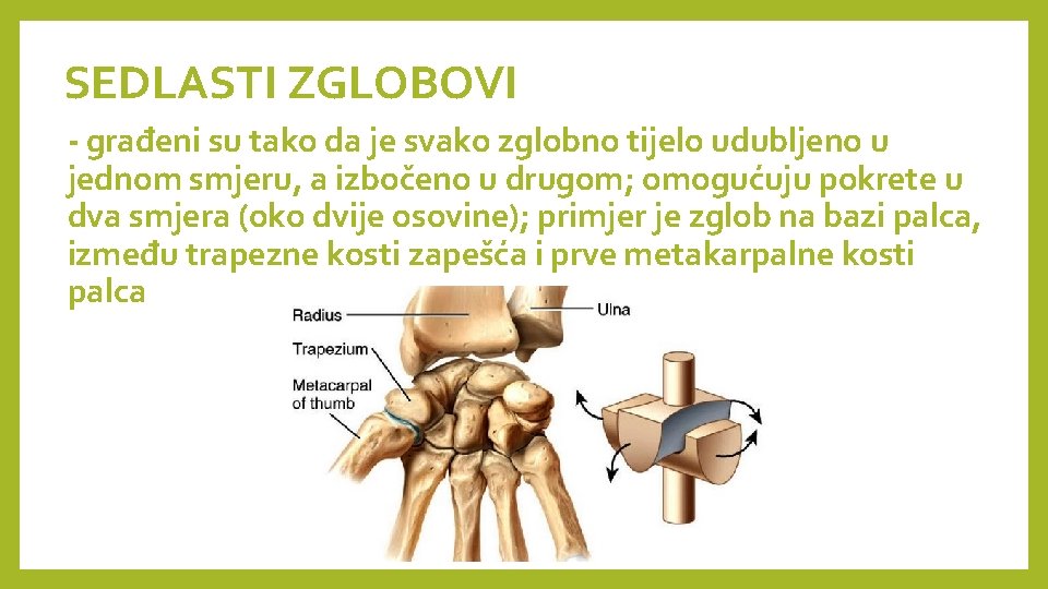 17 ZGLOBOVI Medicinska kola u Rijeci I4 fizioterapeutski