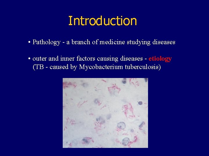 Introduction Pathology a branch of medicine studying diseases
