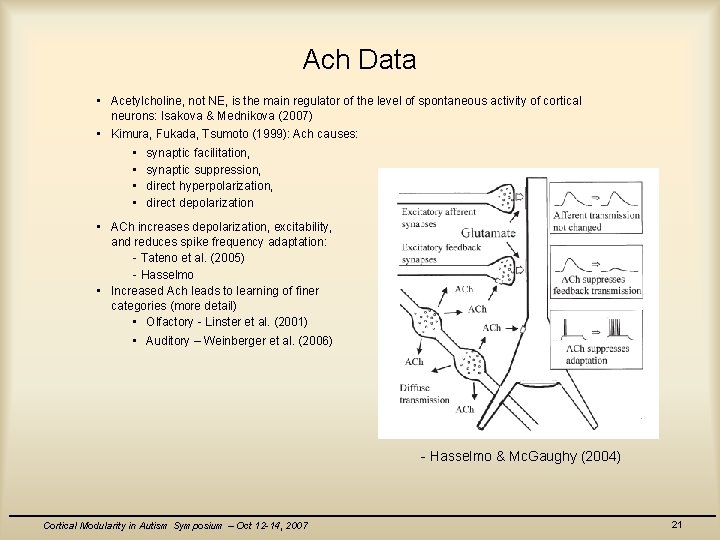 A Functional Role for the Minicolumn in Cortical