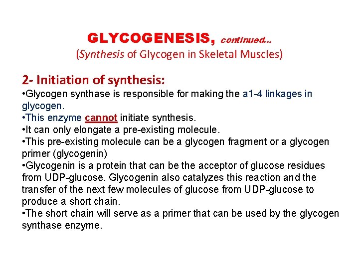 Glycogen Metabolism By Dr Reem M Sallam MD