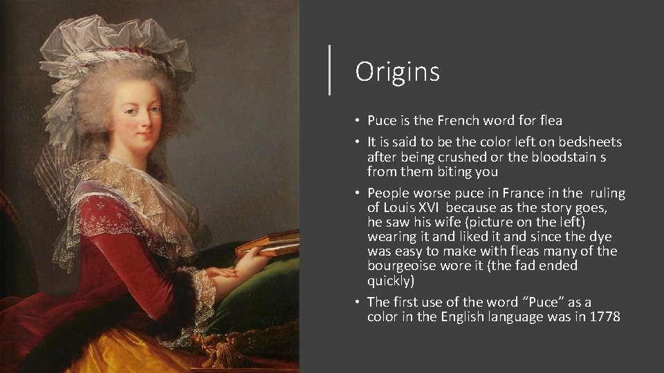 Puce Color presentation by Hayley Buick A close