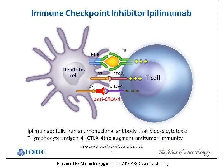 Ipilimumab Versus Placebo After Complete Resection of Stage