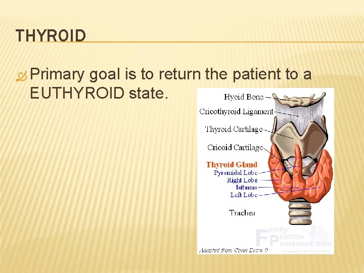 Endocrine ENDOCRINE PHARMACOLOGY THYROID Primary goal is to