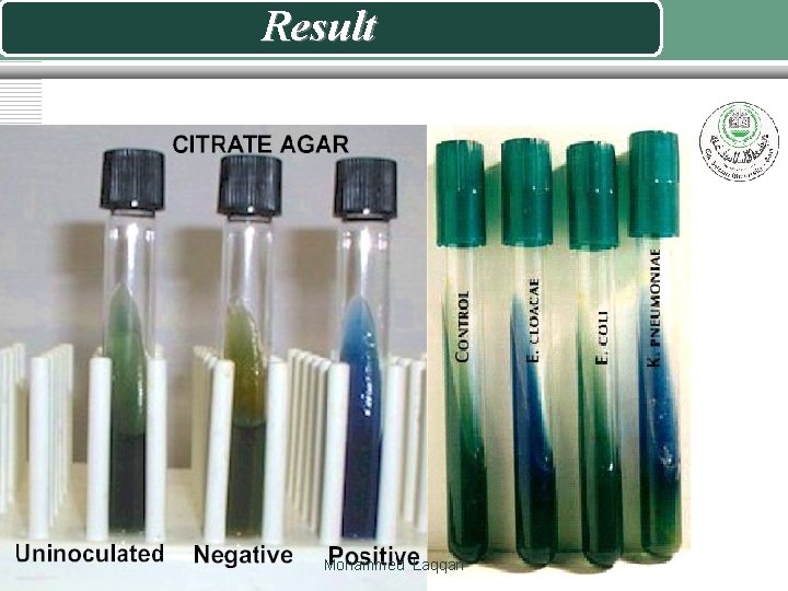 General Microbiology Laboratory Biochemical tests Citrate Utilization test