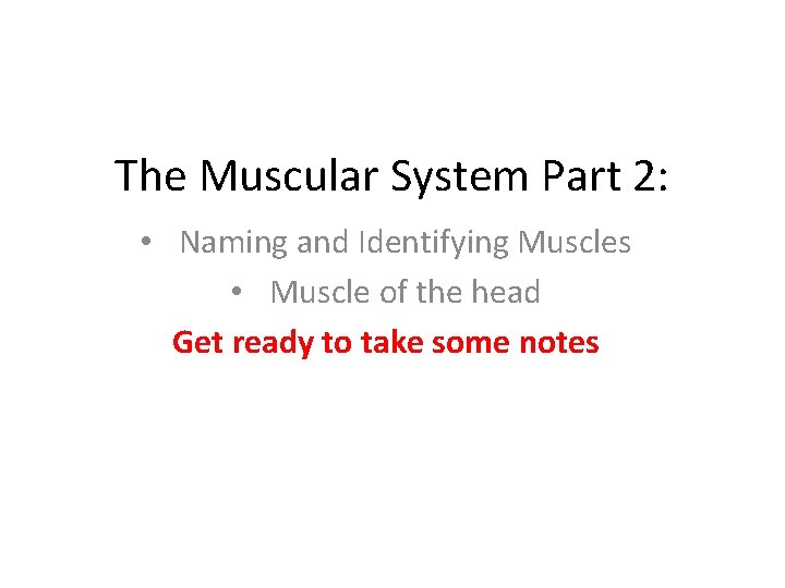 The Muscular System Part 2 Naming and Identifying