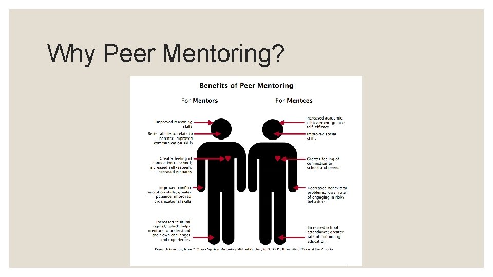 BUILDING A PEER MENTOR PROGRAM A FOCUS ON