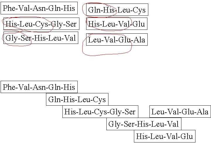 Amino acids Rgroups nonpolar acidic basic proteins condensation