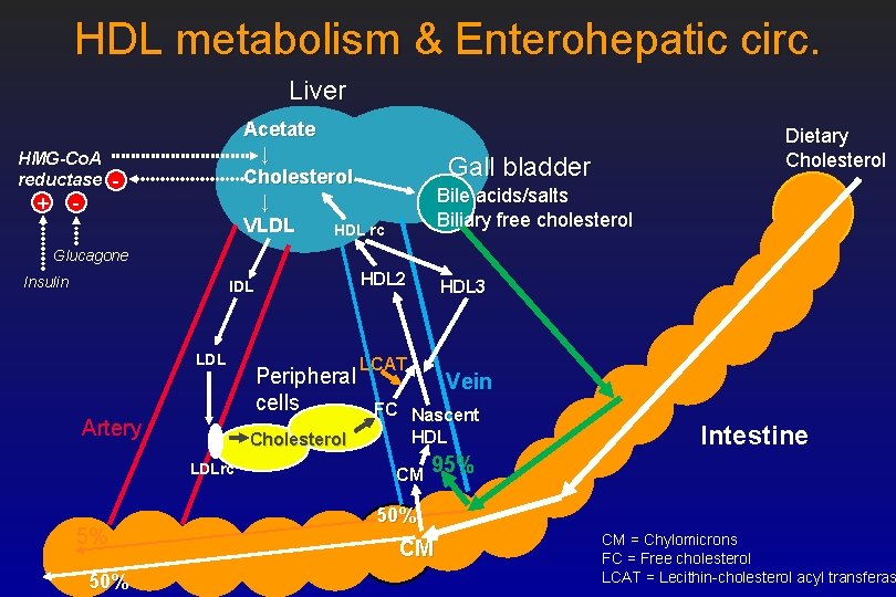 EPDM 566 Epid of CVD Lipid Metabolism Raymond