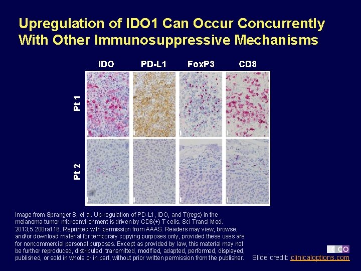 IDO Inhibitors in Cancer Immunotherapy Geoffrey T Gibney
