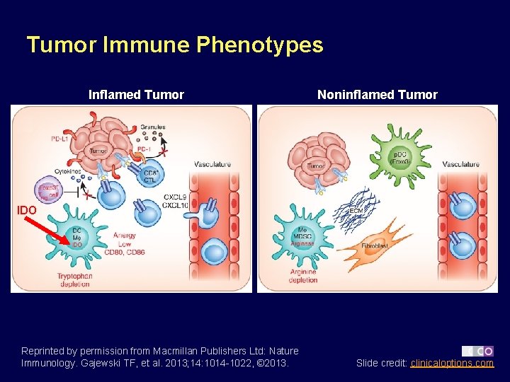IDO Inhibitors in Cancer Immunotherapy Geoffrey T Gibney