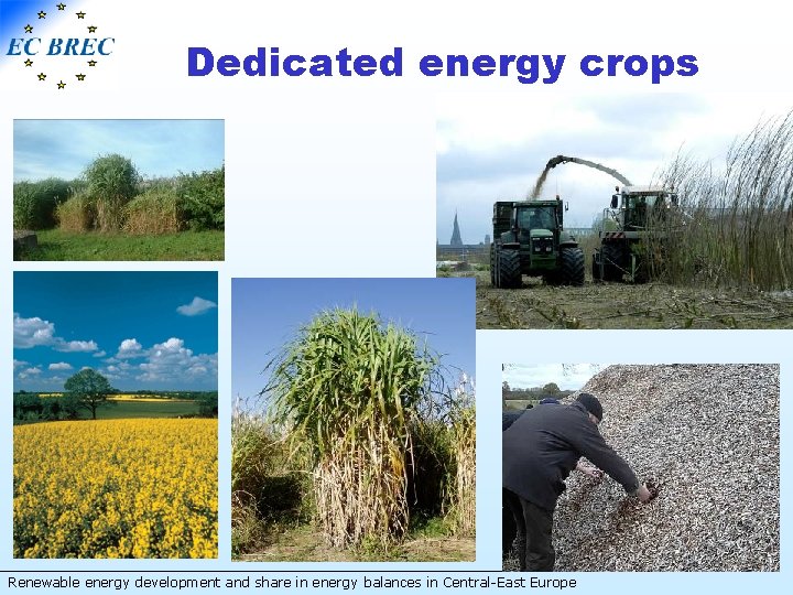 Renewable energy development and share in energy balances