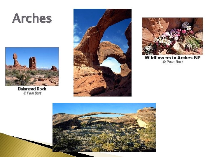 Utah National Parks Weathering Weathering Erosion Weathering effects