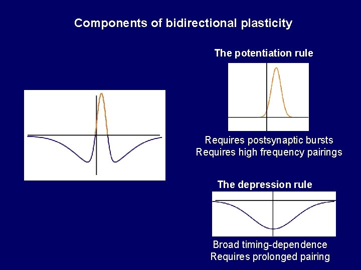 Learning rules in the hippocampus and cerebellum Sam