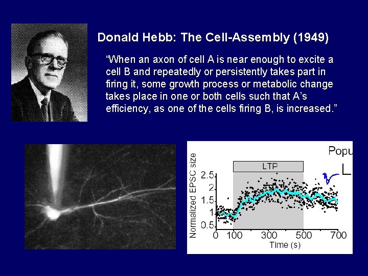 Learning rules in the hippocampus and cerebellum Sam