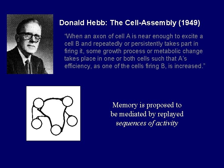 Learning rules in the hippocampus and cerebellum Sam