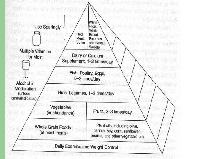 A Critical Look at Food Pyramid Going for