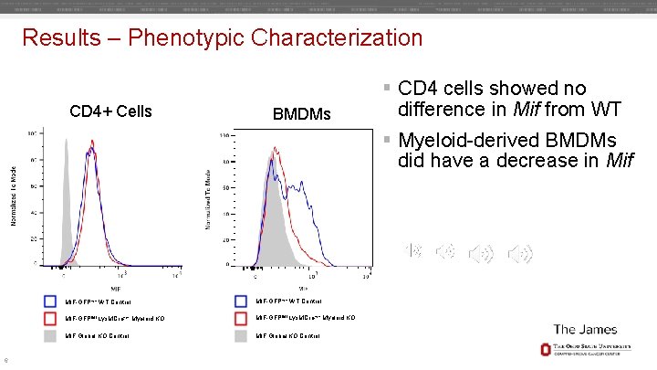 Conditional removal of myeloid cellderived Mif through a