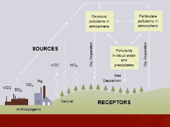 Acid Precipitation BHS Earth Space Science p H