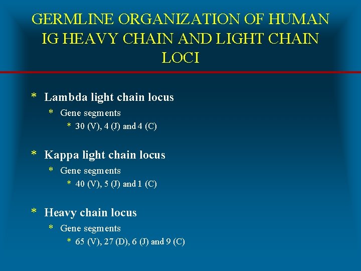ANTIBODY STRUCTURE AND THE GENERATION OF BCELL DIVERSITY