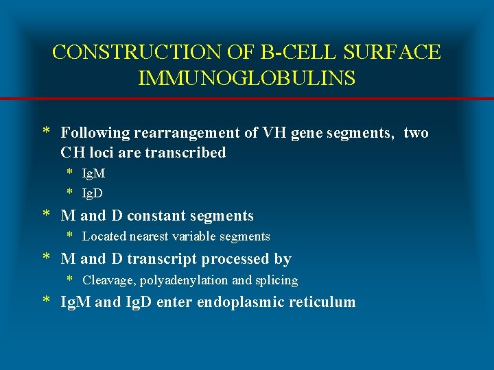 ANTIBODY STRUCTURE AND THE GENERATION OF BCELL DIVERSITY