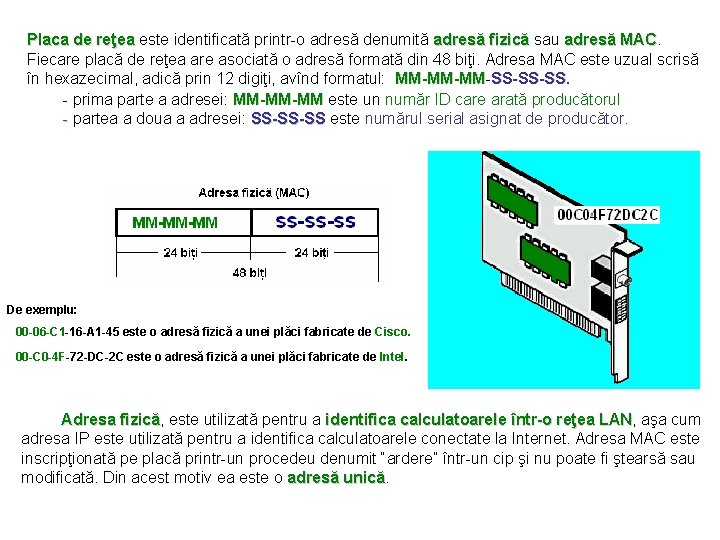 Placa de retea Placa de retea este componenta
