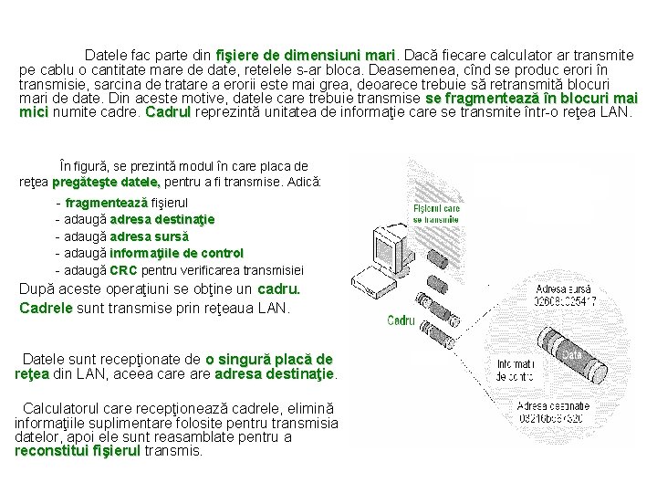 Placa de retea Placa de retea este componenta