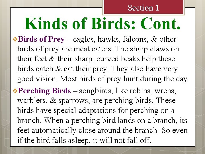 Birds Mammals Chapter 16 Section 1 Birds v