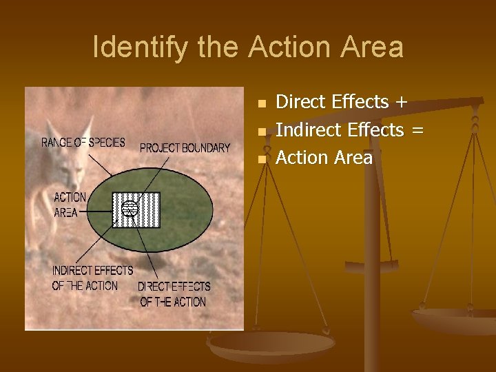 Module 3 Counterpart Regulations Standards of Review for