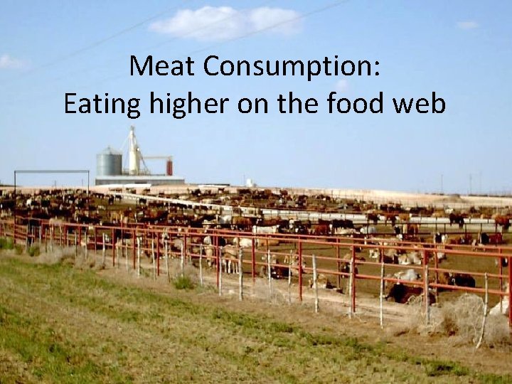 Meat Consumption Eating higher on the food web
