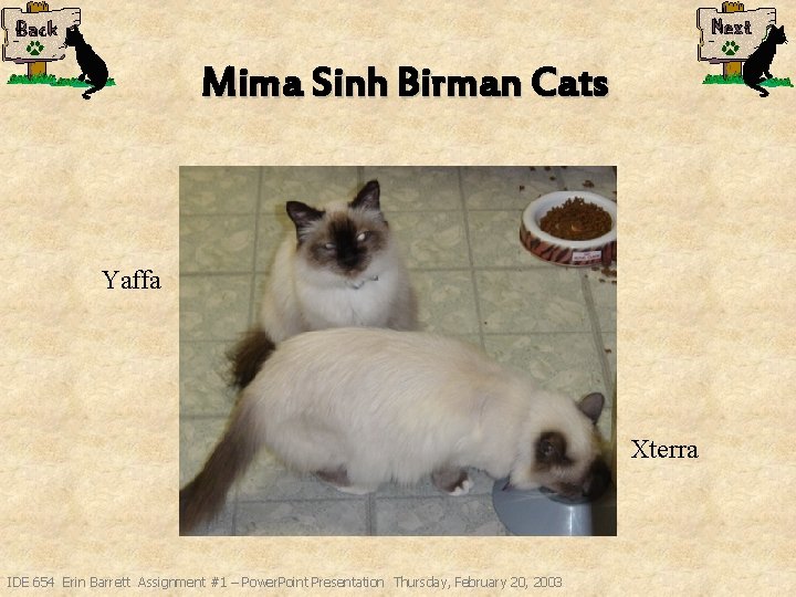 Mima Sinh Birman Cats IDE 654 Erin Barrett