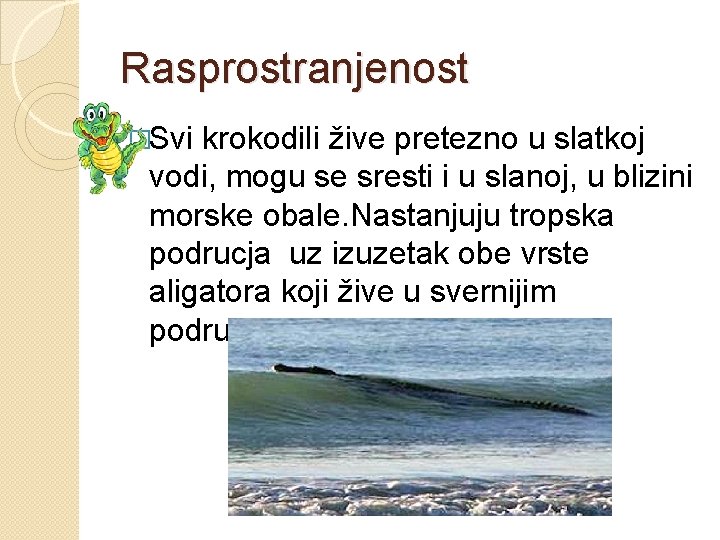 KROKODILI Osobine 1 Gradja tela krokodila je izrazito