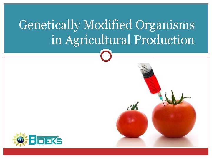 Genetically Modified Organisms in Agricultural Production What Are