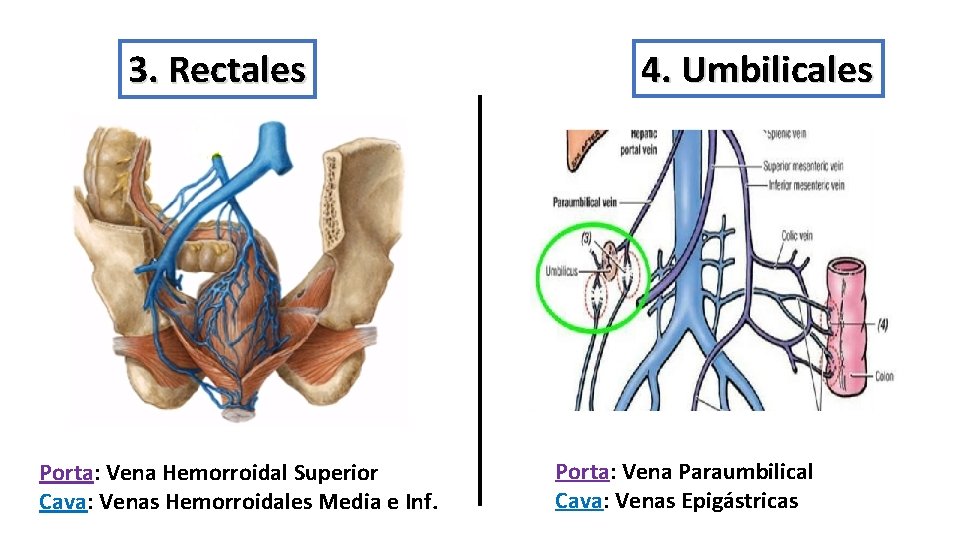 Repblica Bolivariana de Venezuela Universidad Nacional Experimental ...