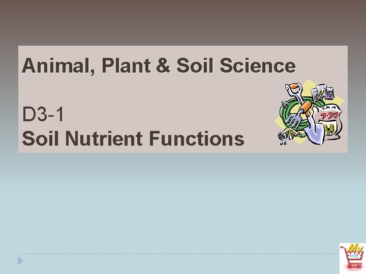Animal Plant Soil Science D 3 1 Soil