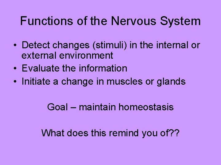 Chapter 12 Introduction to the Nervous System Organization