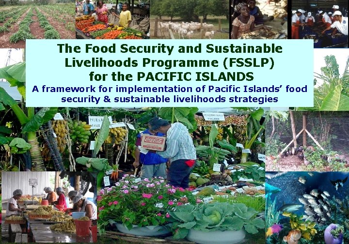 The Food Security and Sustainable Livelihoods Programme FSSLP